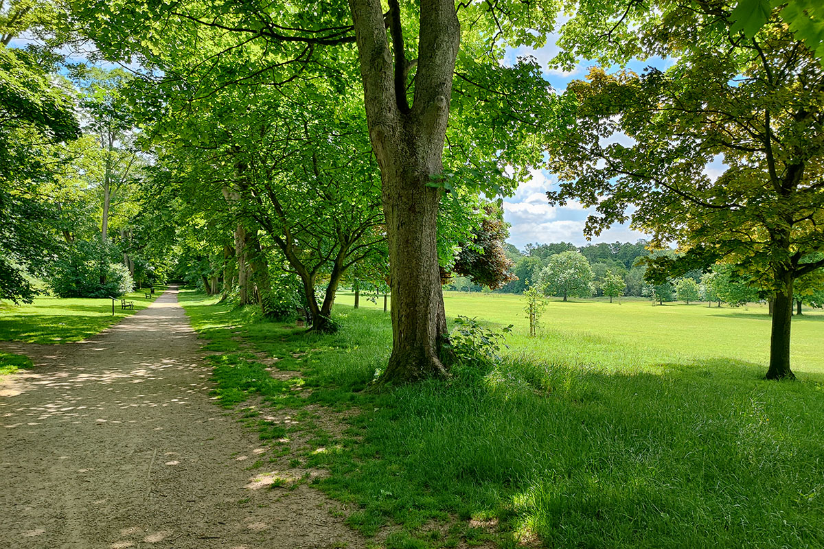 Dorridge Park - A Review